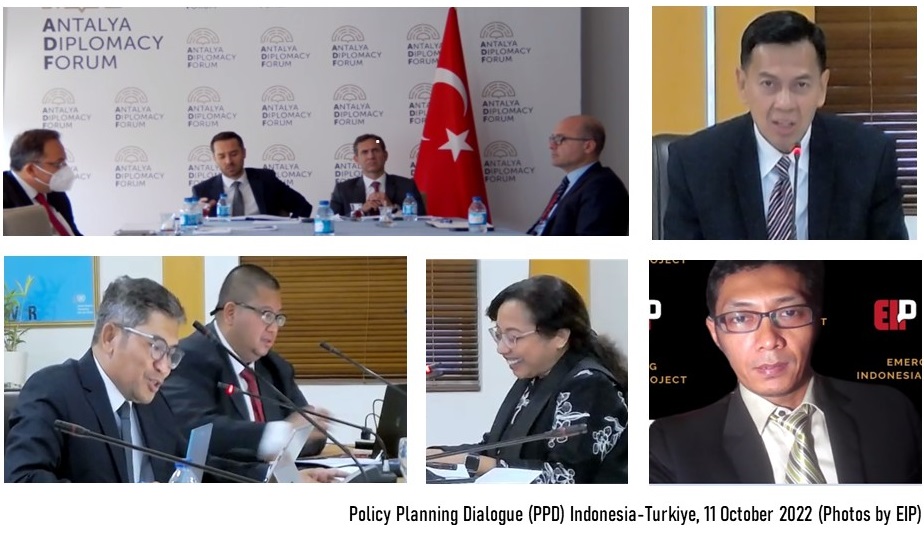EIP Menjadi Narasumber Policy Planning Dialogue (PPD) Indonesia-Turki ...